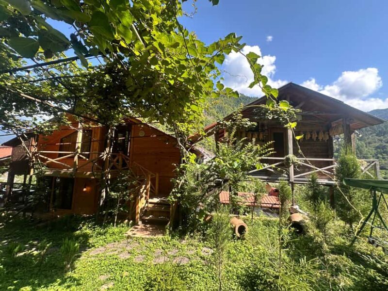 From Batumi: Self-Drive Wine Tasting in Mountainous Adjara - FAQ
