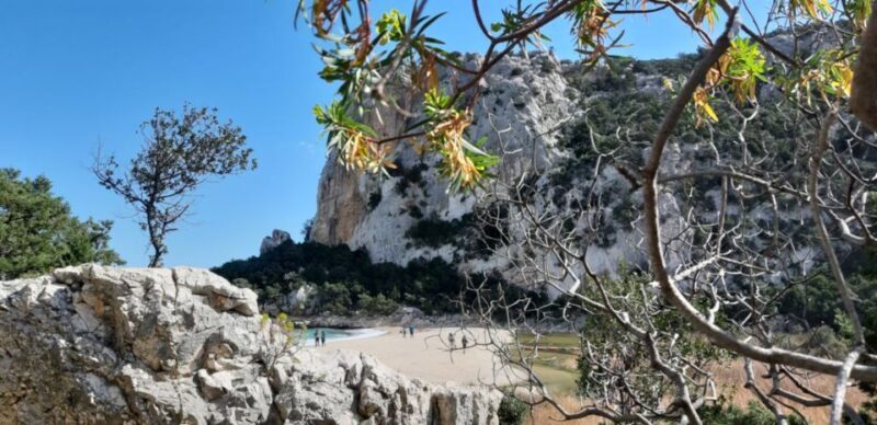 From Baunei: Cala Luna and Dorgali Full-Day Guided Trek - A Deep Dive into the Experience