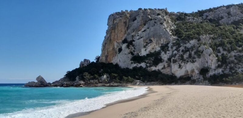 From Baunei: Cala Luna and Dorgali Full-Day Guided Trek - Practical Tips for Travelers