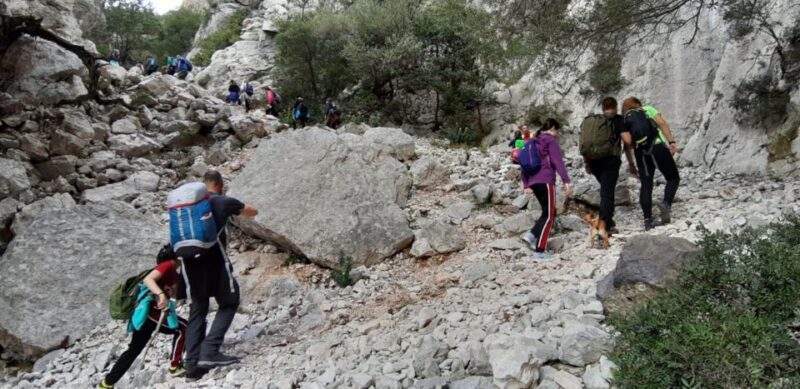 From Baunei: Cala Luna and Dorgali Full-Day Guided Trek - The Sum Up