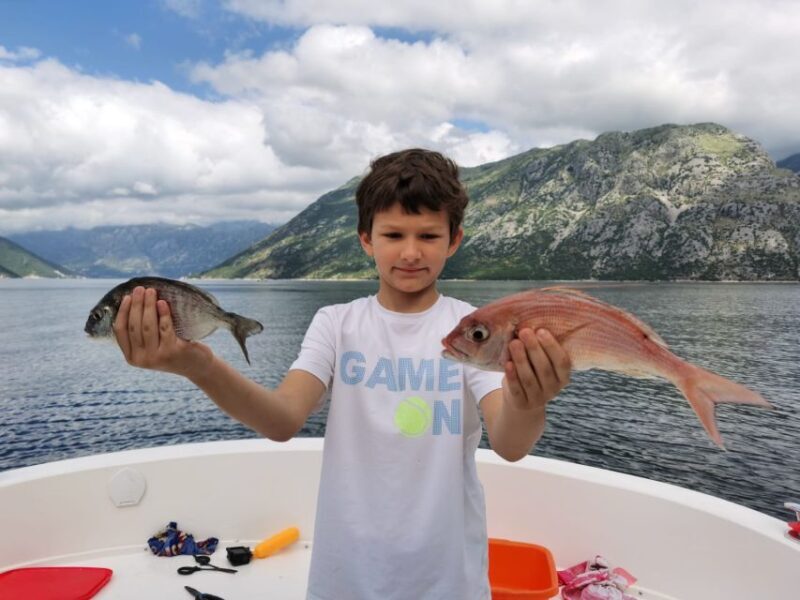 From Bay of Kotor: Blue Cave Private Speedboat Tour - The Sum Up: Who Will Love This Tour?