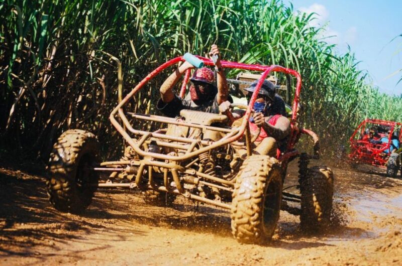 From Bayahibe: Half-day La Romana ATV or 4X4 Buggy Tour - Key Points