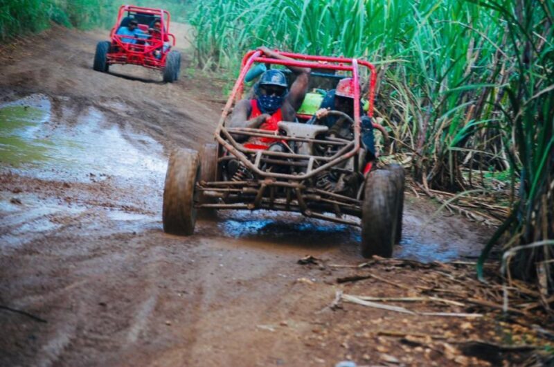 From Bayahibe: Half-day La Romana ATV or 4X4 Buggy Tour - The Practicalities: What You Need to Know