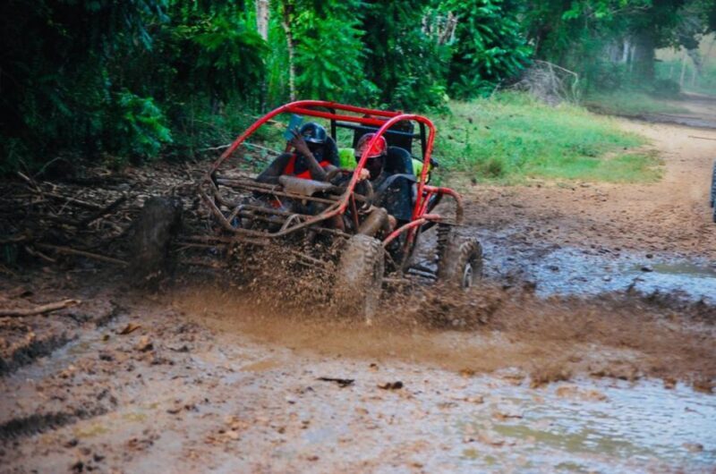 From Bayahibe: Half-day La Romana ATV or 4X4 Buggy Tour - The Sum Up