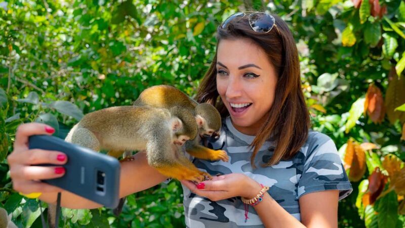 From Bayahibe: Half Day Monkeyland Safari - Practical Details and Tips