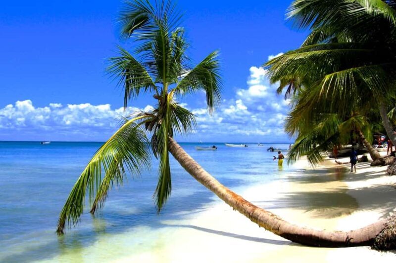 From Bayahibe: Saona Island, Open Bar, Speedboat & Lunch - Who Should Consider This Tour?