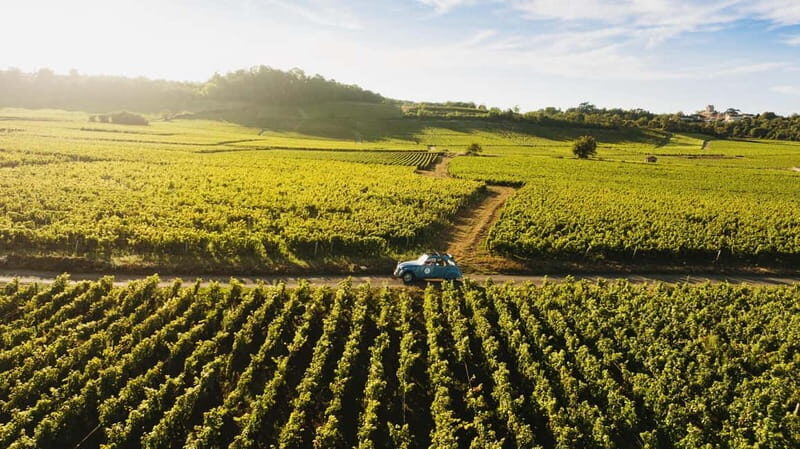 From Beaune: Burgundy Grands Crus Road Tour in a Classic Car - An Authentic Ride Through Burgundy’s Vineyards