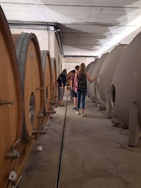 From Beaune: Burgundy Grands Crus Road Tour in a Classic Car - Inside a Burgundy Vineyard: Wine & Stories