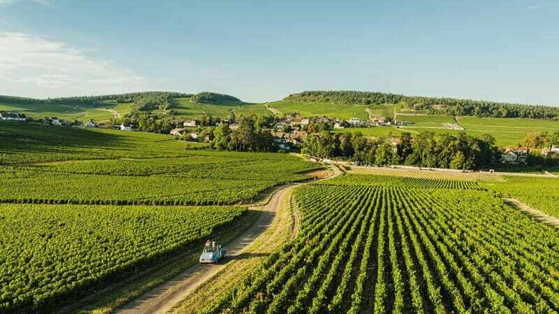 From Beaune: Burgundy Grands Crus Road Tour in a Classic Car - Who Will Love This Tour?