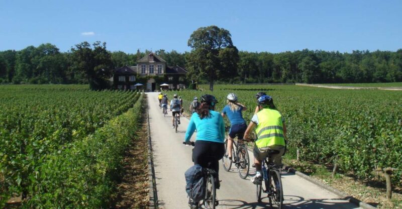 From Beaune: Full-Day Bicycle and Wine Tour in Burgundy - An In-Depth Look at the Experience