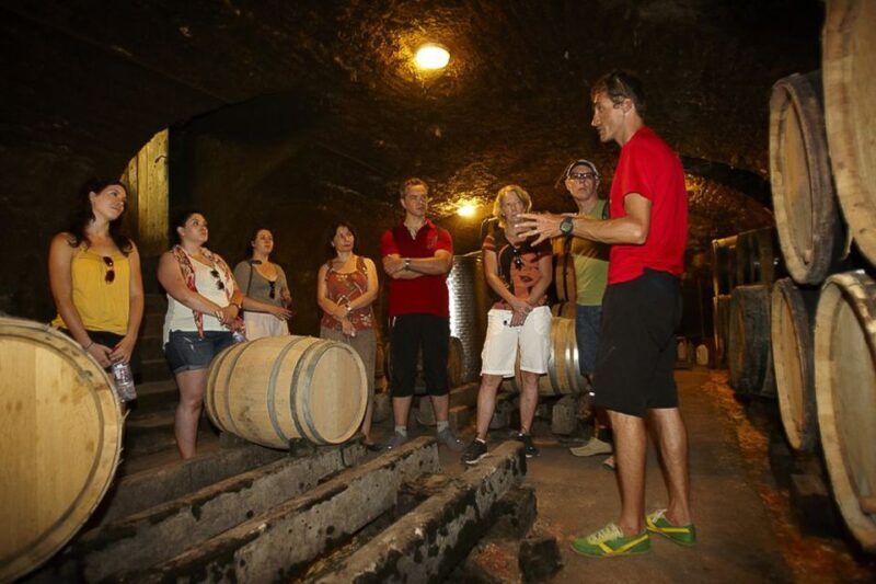 From Beaune: Full-Day Bicycle and Wine Tour in Burgundy - Who Will Love This Tour?