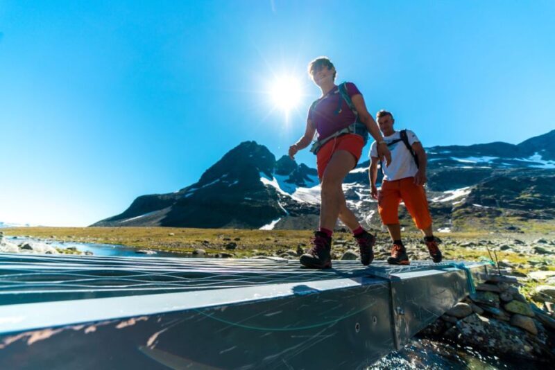 From Beitostolen: Svartdalen  a Day in Jotunheimen Tour - Authenticity and Value