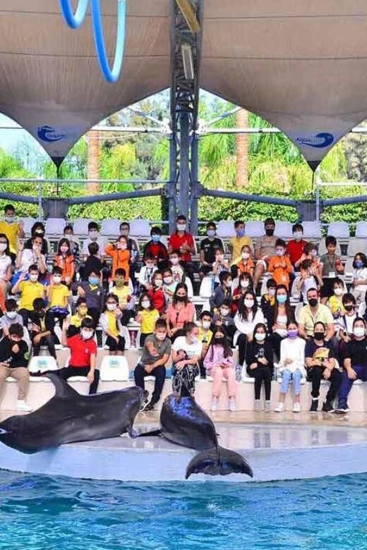 From Belek: Dolphin Show with Transfers - Key Points