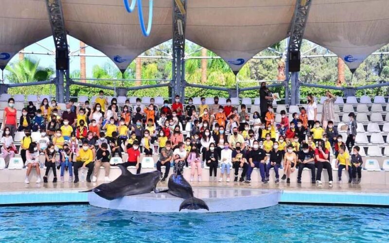 From Belek: Dolphin Show with Transfers - FAQ