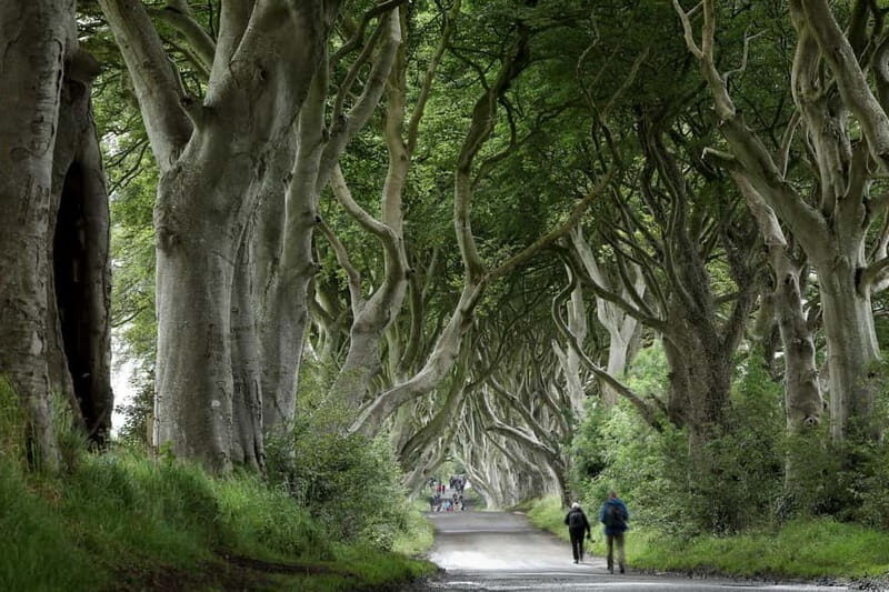 From Belfast: Giant's Causeway and Game of Thrones Tour - What to Expect on the Tour