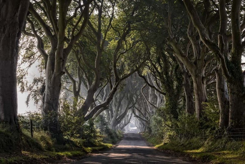 From Belfast: Giant's Causeway and Game of Thrones Tour - Frequently Asked Questions