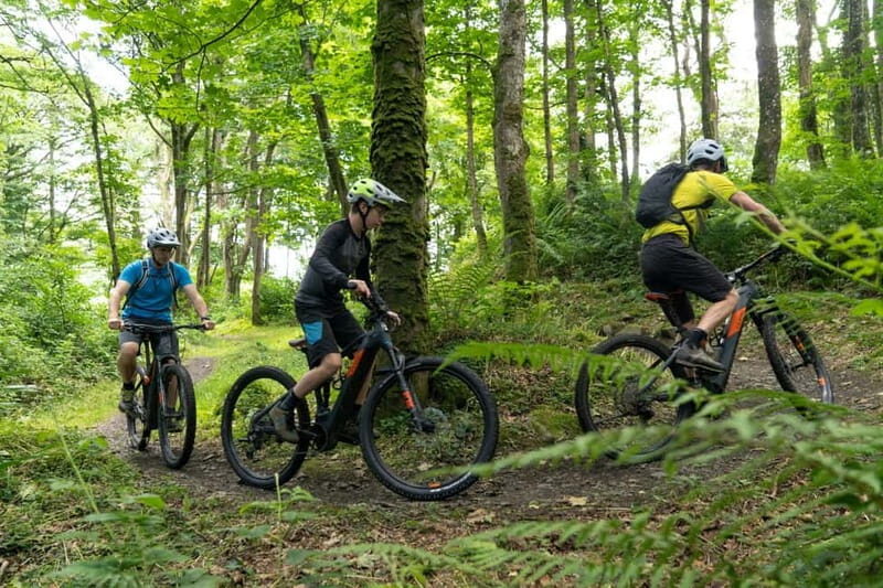 From Belfast: Mountain Bike Experience - Key Points