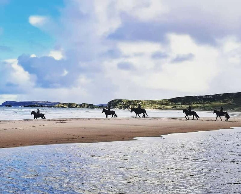 From Belfast: Private Tour of the Glens & Giants Causeway - The Value of a Private Tour