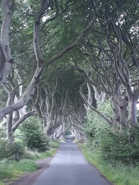 From Belfast: The Giant's Causeway & Game of Thrones Tour - An In-Depth Look at the Experience