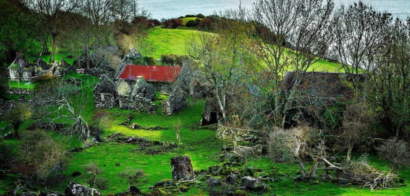 From Belfast: The Gobbins Cliff walk and Glens of Antrim - Practical details and considerations