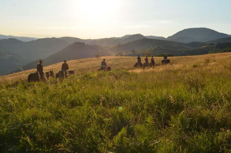 From Belgrade: 6-Day umadija Trail Horseback Riding Tour - Introduction: Discover Serbia’s Hidden Corners on Horseback