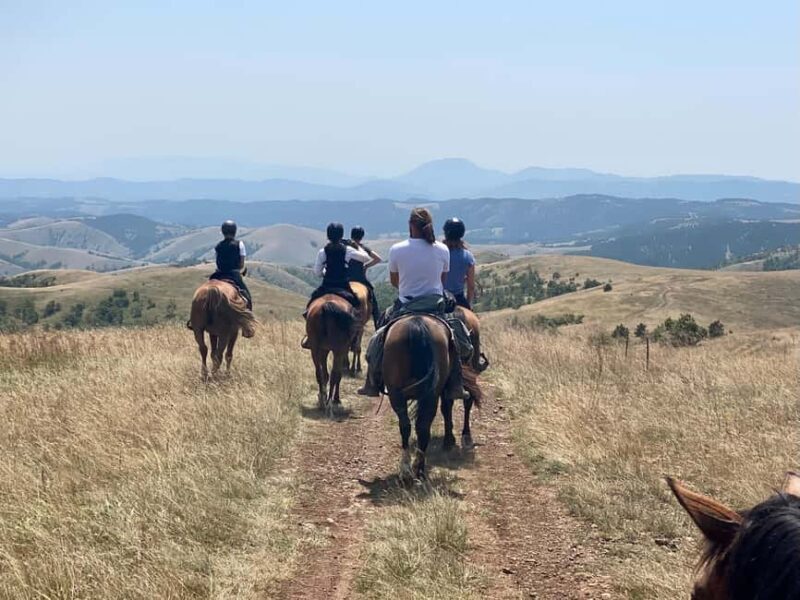From Belgrade: 6-Day umadija Trail Horseback Riding Tour - FAQ