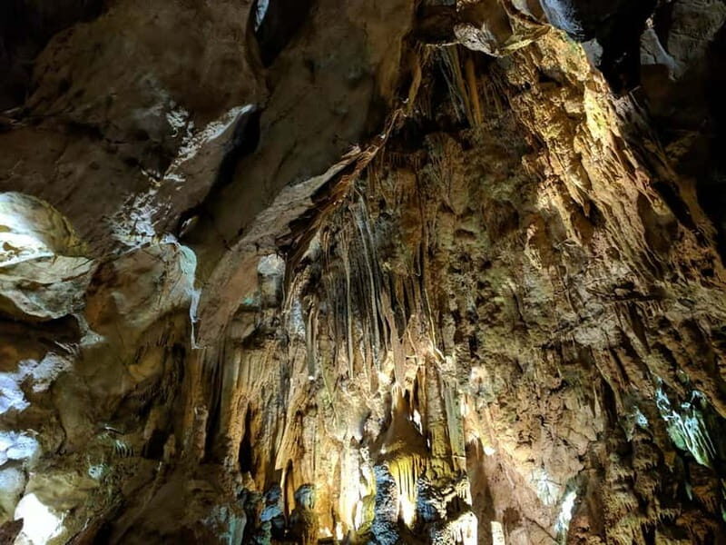 From Belgrade: Full-Day Resava Cave & Medieval Monasteries - Key Points