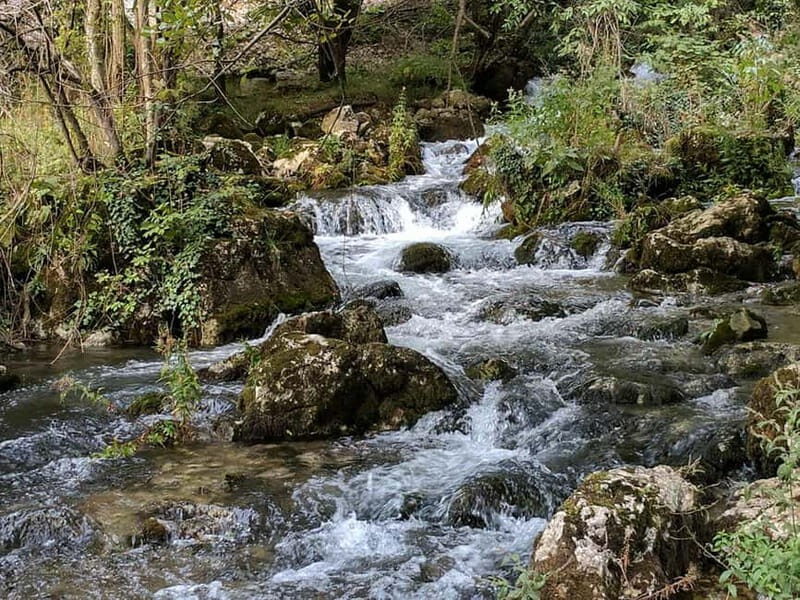 From Belgrade: Full-Day Resava Cave & Medieval Monasteries - FAQs