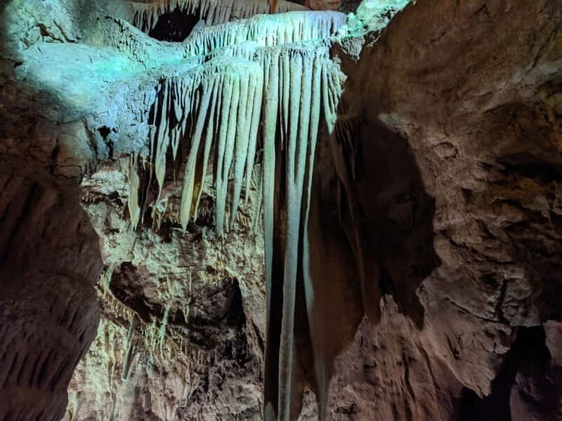 From Belgrade: Manasija Monastery and Resava Cave Tour - Final Thoughts