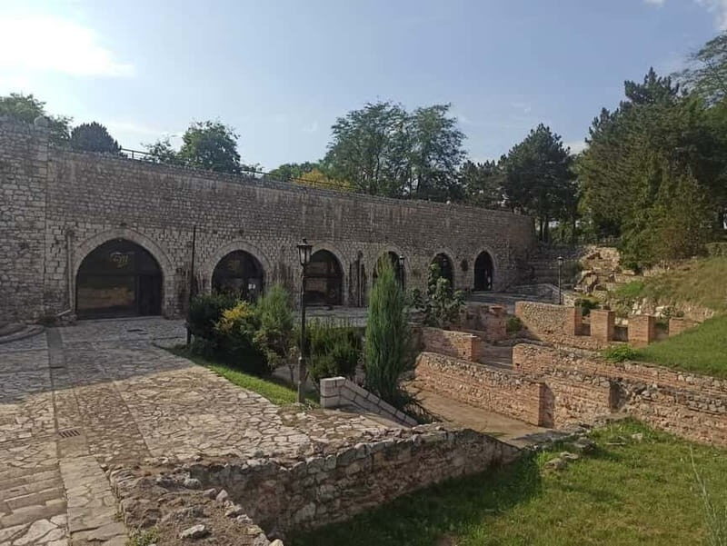 From Belgrade: Nis city full day tour - Key Points