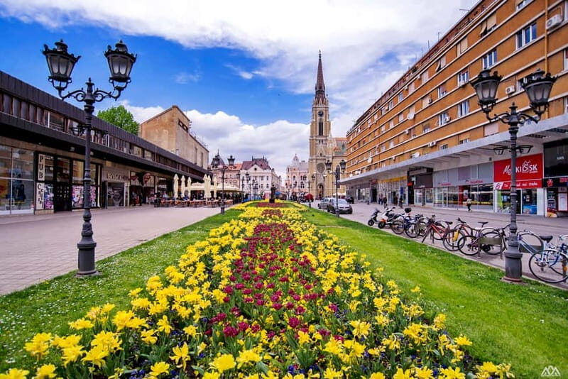 From Belgrade: Novi Sad and Sremski Karlovci Day Trip - The Sum Up