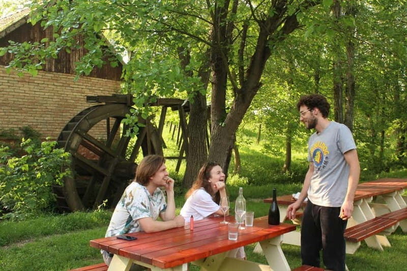 From Belgrade or Novi Sad: Private Wine Tour in Fruska Gora - An Authentic Taste of Serbia’s Wine Heritage