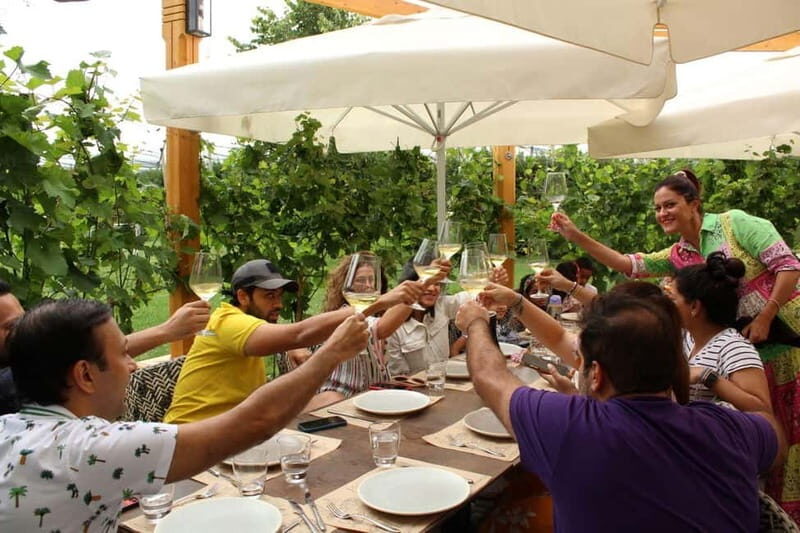 From Belgrade or Novi Sad: Private Wine Tour in Fruska Gora - Who Should Consider This Tour?