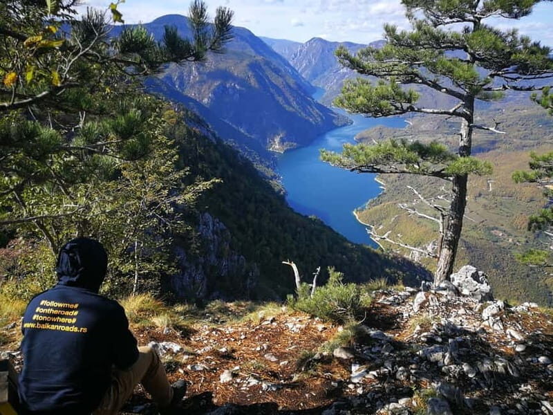 From Belgrade: Tara NP & Drina river & House on the Drina - Discovering Tara National Park: Deep Dive