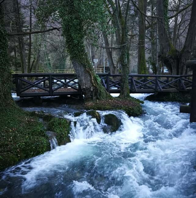 From Belgrade: Tara NP & Drina river & House on the Drina - Who Will Love This Tour?
