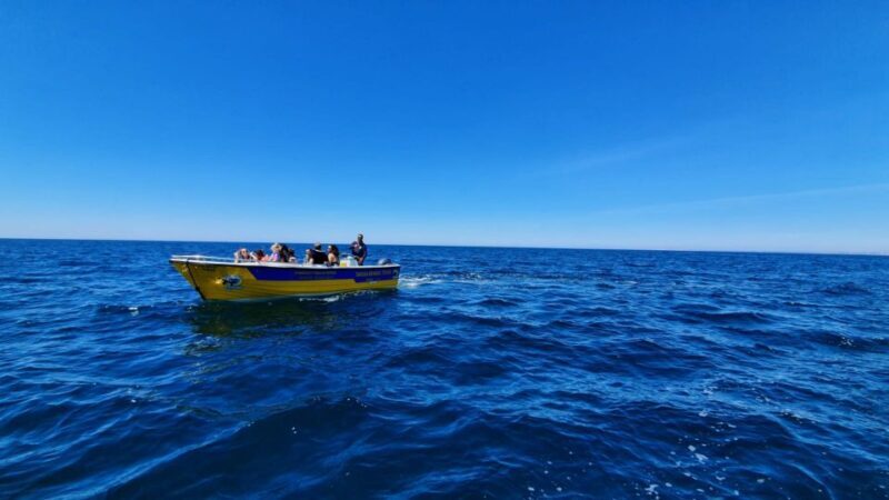 From Benagil: Benagil Cave & Marinha Beach Express Tour - The Itinerary in Detail