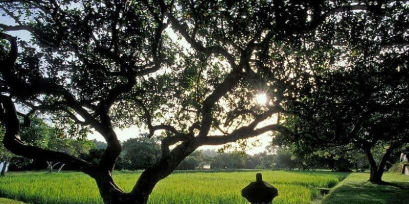 From Bentota/Beruwala: Lunuganga & Brief Garden Marvels Tour - Key Points