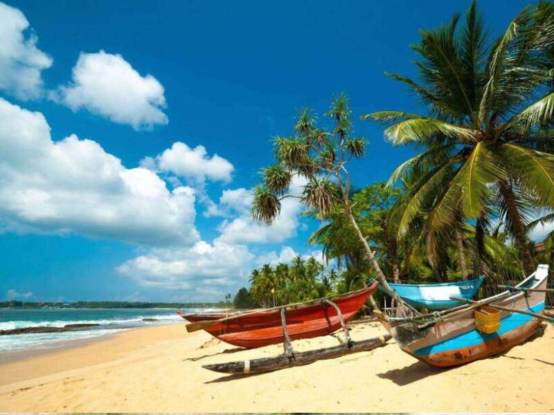 From Bentota/ Beruwala: Scenic Countryside Cycling Adventure - Key Points