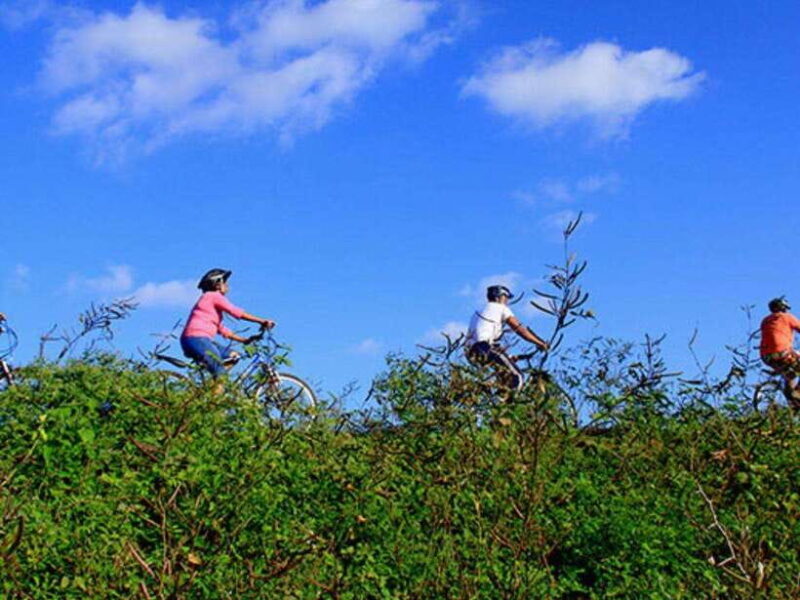From Bentota/ Beruwala: Scenic Countryside Cycling Adventure - A Practical Guide to the Countryside Cycling Tour