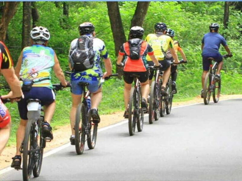 From Bentota/ Beruwala: Scenic Countryside Cycling Adventure - In The Sum Up