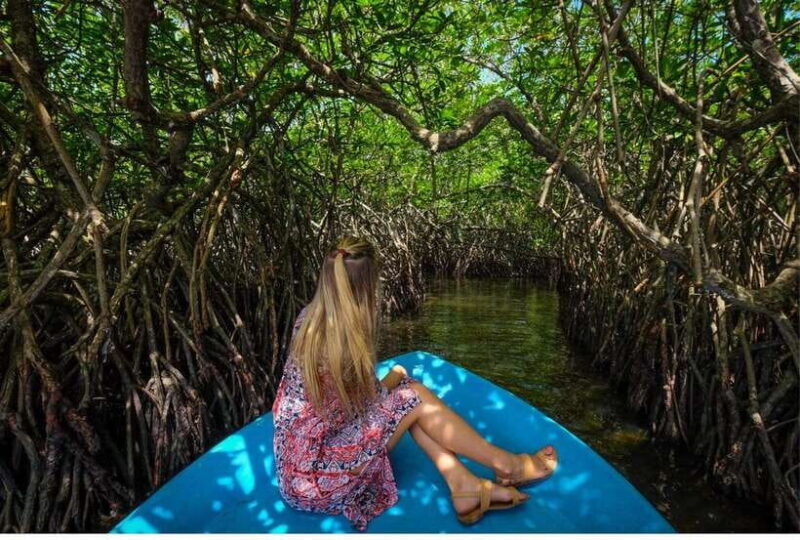 From Bentota: Exclusive Madu River Safari & Turtle Hatchery - What Travelers Are Saying