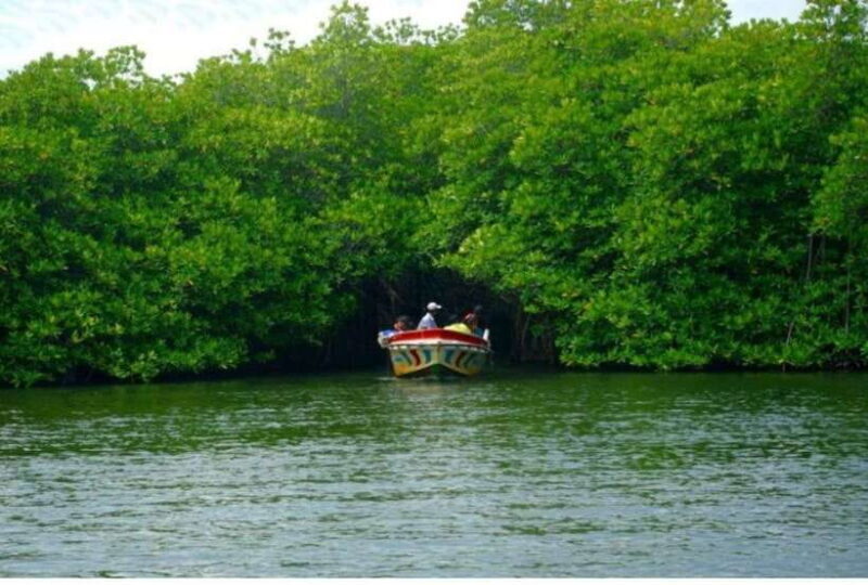 From Bentota: Exclusive Madu River Safari & Turtle Hatchery - FAQ