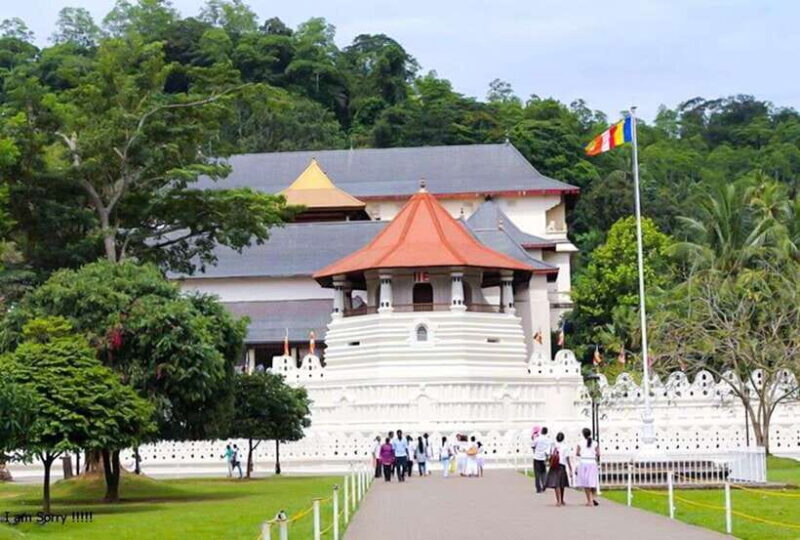 From Bentota/Kalutara: Magical Journey to Kandy & Pinnawala - The Day in Detail: What You Can Expect