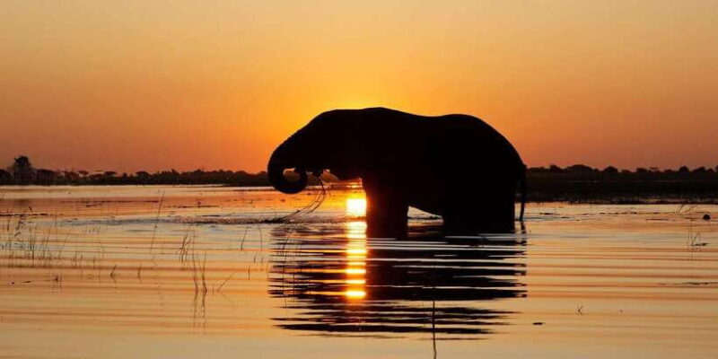 From Bentota /Kalutara : Yala National Park Safari Jeep Tour - An Honest Look at the Yala Safari Experience