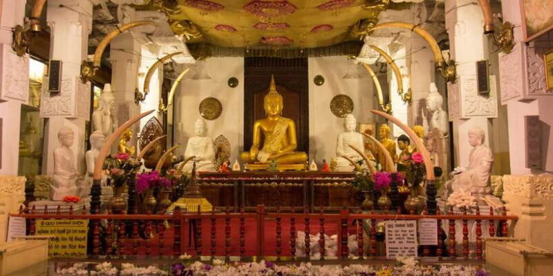 From Bentota: Kandy Tour with Tooth Temple & Gardens Visit - The Itinerary in Detail
