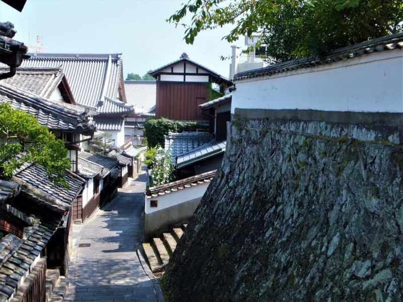 From Beppu: Usuki City Cultural Private Tour - The Experience in Detail