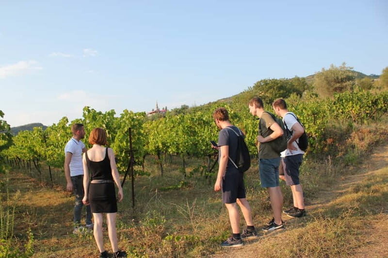 From Berat: Guided Winery Tour with Transfers and Tastings - The Practicalities