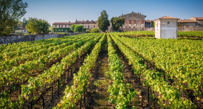 From Bergamo: Winery Tour in Franciacorta with Lunch - Authenticity and Value