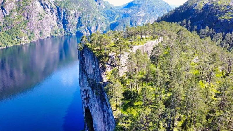 From Bergen: 2 in 1 - Fjord Cruise and Guided Mountain Hike - An In-Depth Look at What Makes This Tour Special