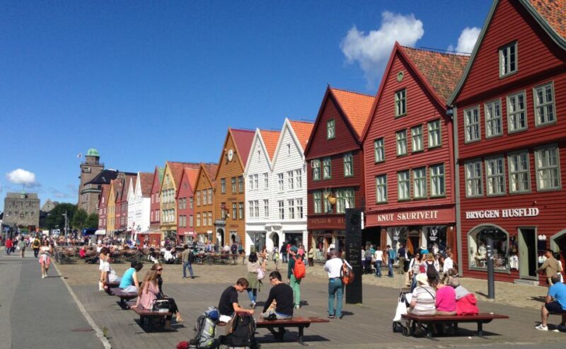 From Bergen: Private Tour to Sognefjord, Gudvangen, & Flåm - Introduction to the Tour Experience